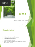 PDF Teste de Atenao Concentrada Ac | PDF