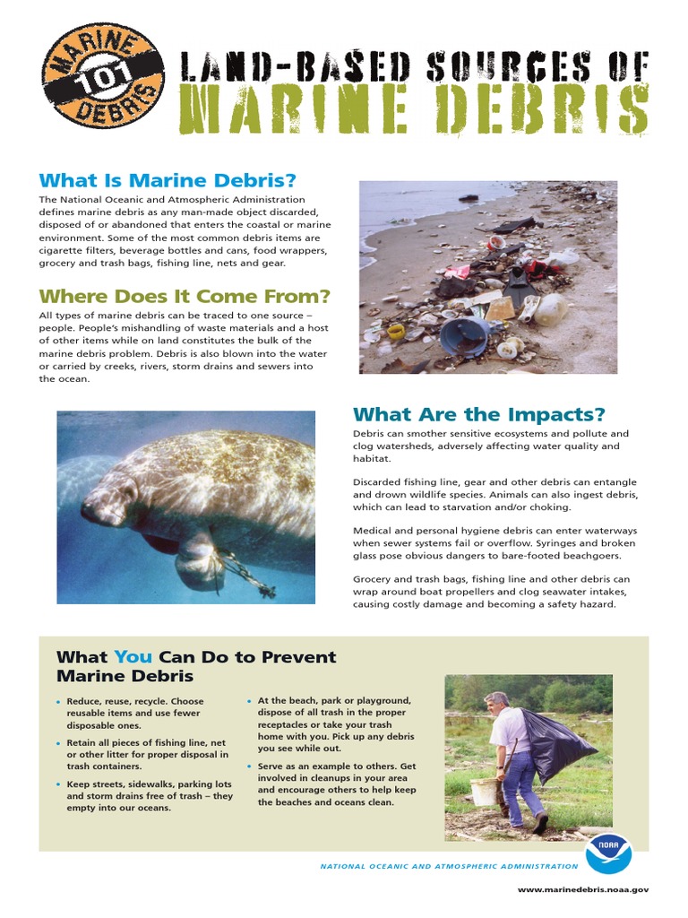 Understanding Marine Debris | PDF