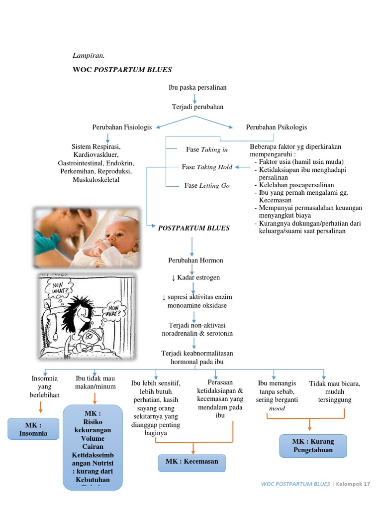WOC Postpartum Blues | PDF