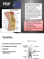 Maniobras para Evaluar la Rodilla | PDF | Rodilla | Anatomía humana