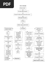 Pathway TB Paru | PDF