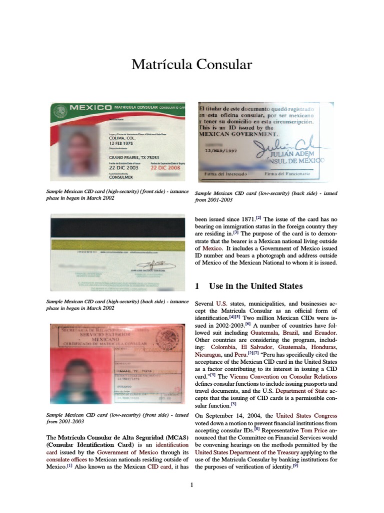 Matrícula Consular | PDF | Government And Personhood | Official Documents