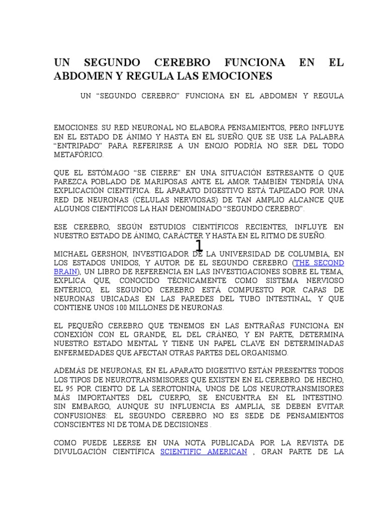 El Segundo Cerebro | PDF