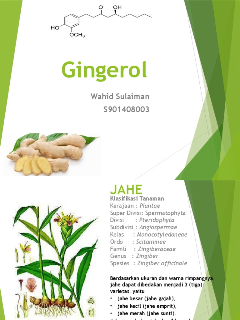 Struktur dan Manfaat Gingerol pada Jahe | PDF