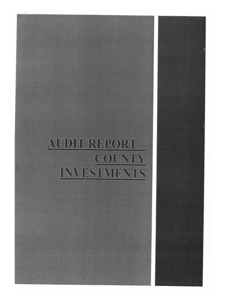 New Castle County Investment Audit | PDF | Credit Rating | Financial Audit