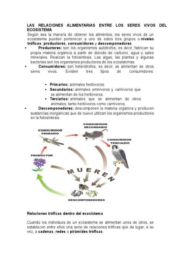 Las Relaciones Alimentarias Entre Los Seres Vivos Del Ecosistema | PDF