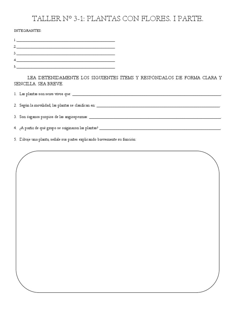 Taller Tema 3 Plantas Con Flores 1era Parte PDF | PDF | Plantas | Tallo ...