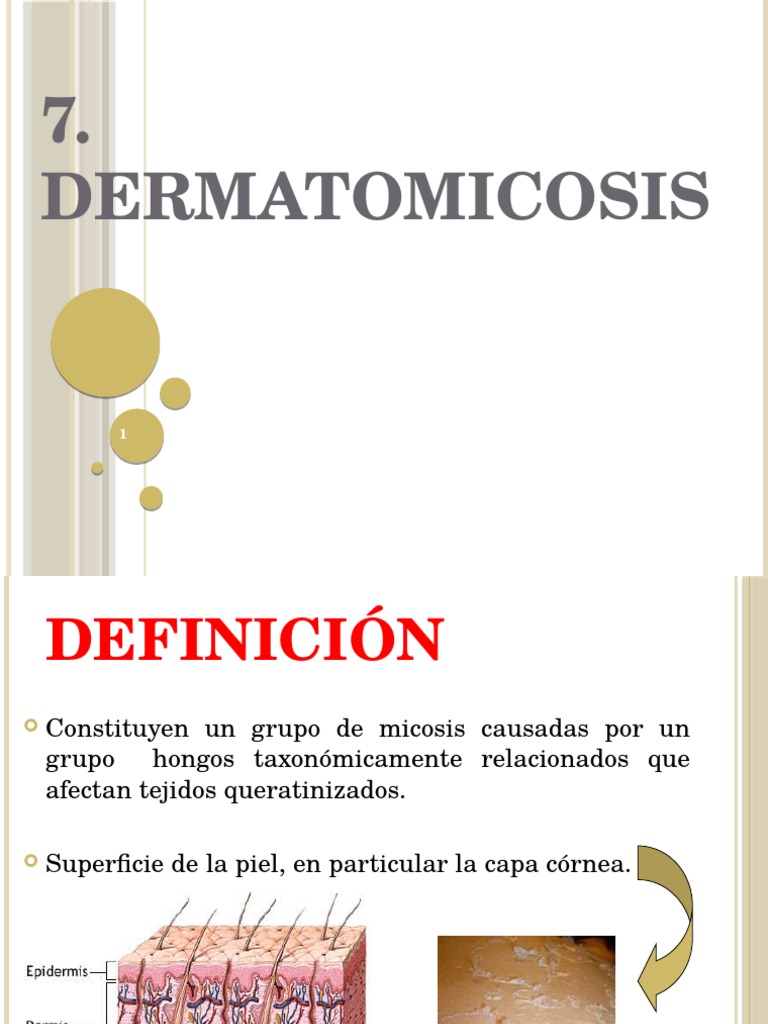 7 - Dermatomicosis | PDF | Hongo | Enfermedades y trastornos