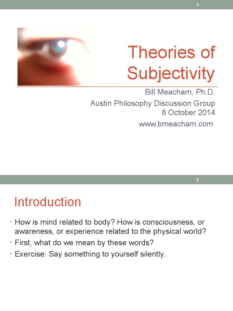 Theories of Subjectivity | Materialism | Consciousness