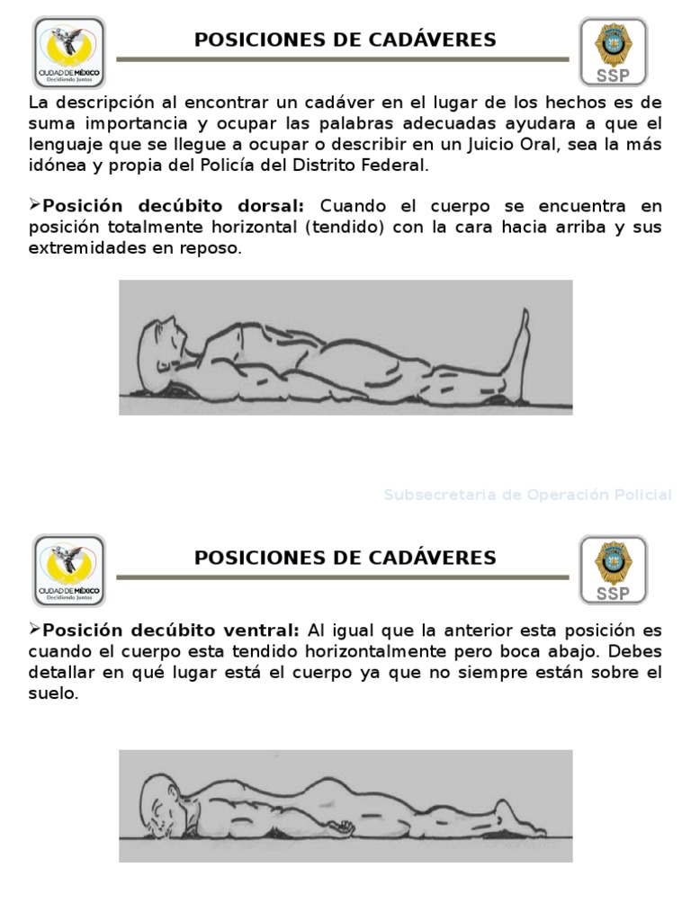 Guia Posiciones Del Cadaver | PDF | Términos anatómicos de ubicación | Science