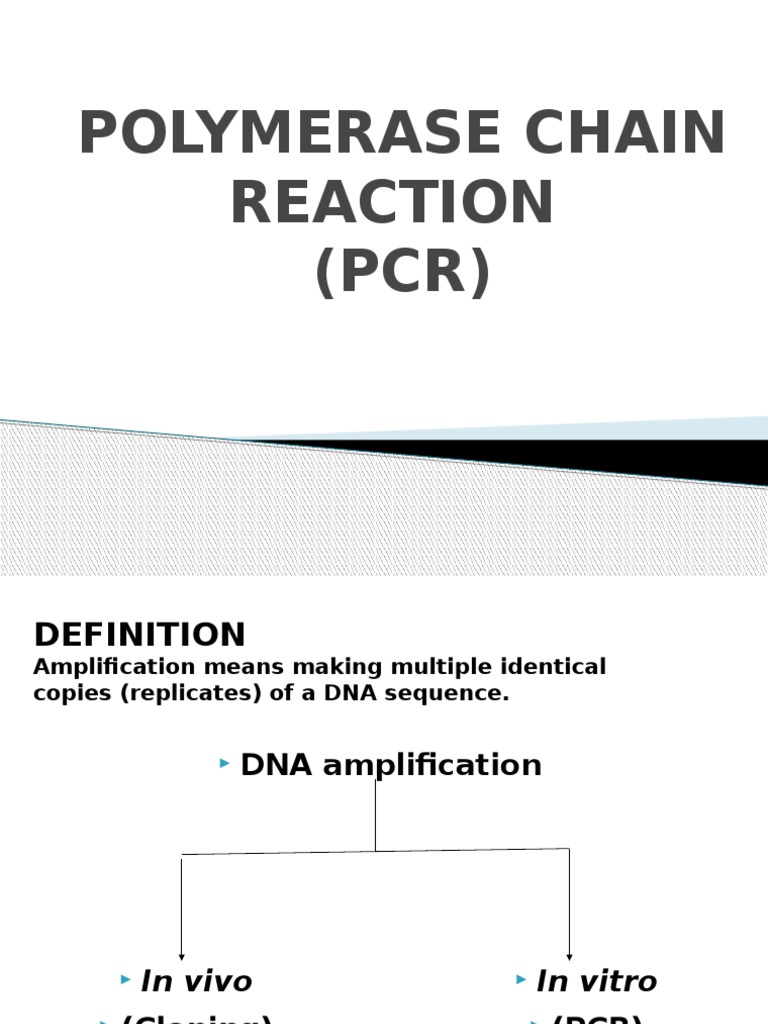 Polymerase Chain Reaction (PCR) | PDF | Polymerase Chain Reaction | Primer (Molecular Biology)