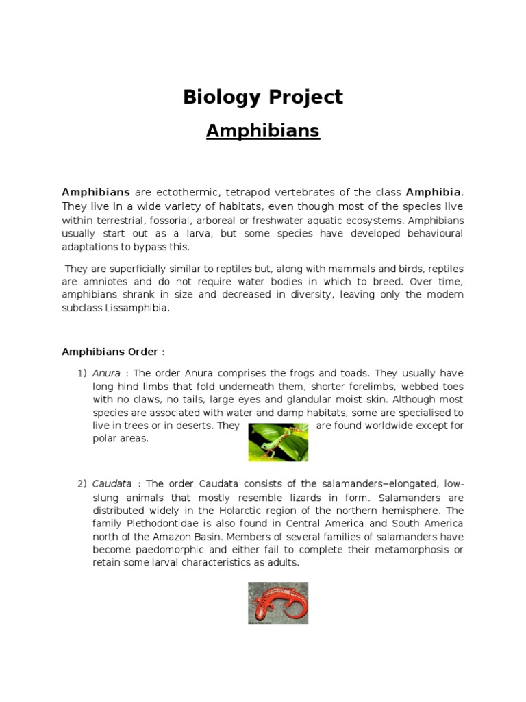 Biology Project: Amphibians | PDF | Amphibian | Vertebrates