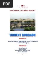 Hotel Project Report | PDF | Tourism | Hotel