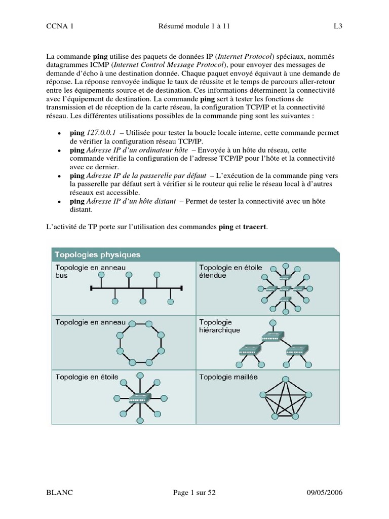 Resumé Cours CCNA 1 | PDF