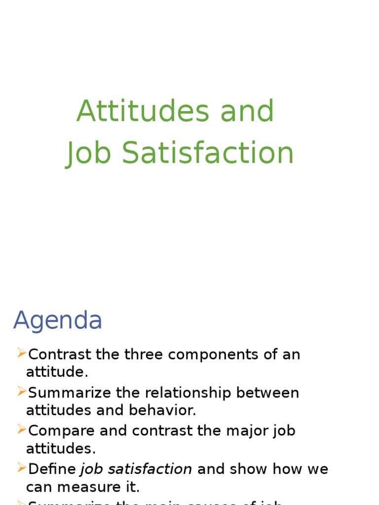 Chapter 3 - Attitudes and Job Satisfaction | PDF | Job Satisfaction ...