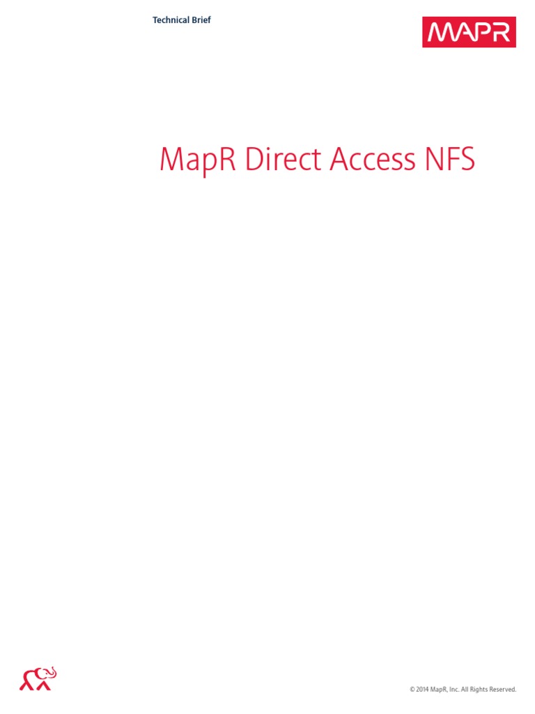 Mapr Tech Brief Direct Access Nfs 2 0 | PDF | Apache Hadoop | File System