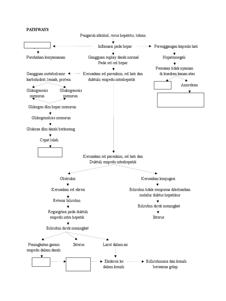 PATHWAYS Hiperbilirubinemia | PDF