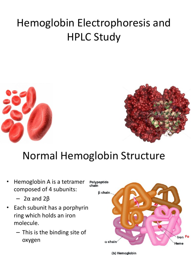 HB Electrophoresis and HPLC Study | PDF | Hemoglobin | Anemia