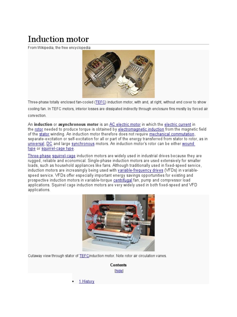 Induction Motor | PDF | Components | Magnetic Devices