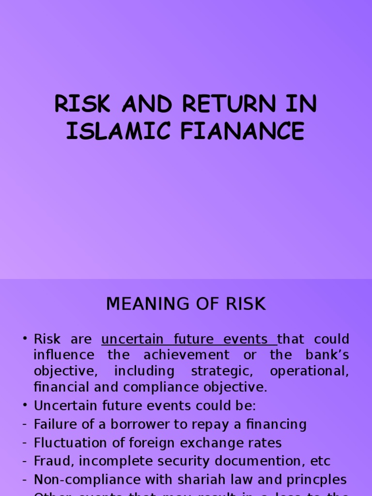 Islamic Finance Risk Insights | PDF | Financial Markets | Islamic ...