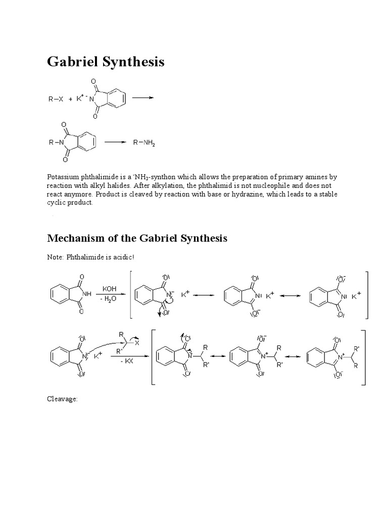 Mechanism of The Gabriel Synthesis | PDF