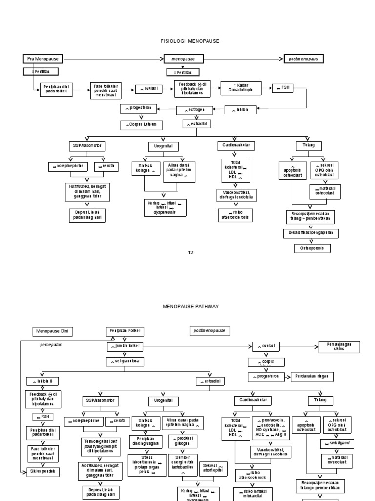 Fisiologi Menopause + Pathway | PDF