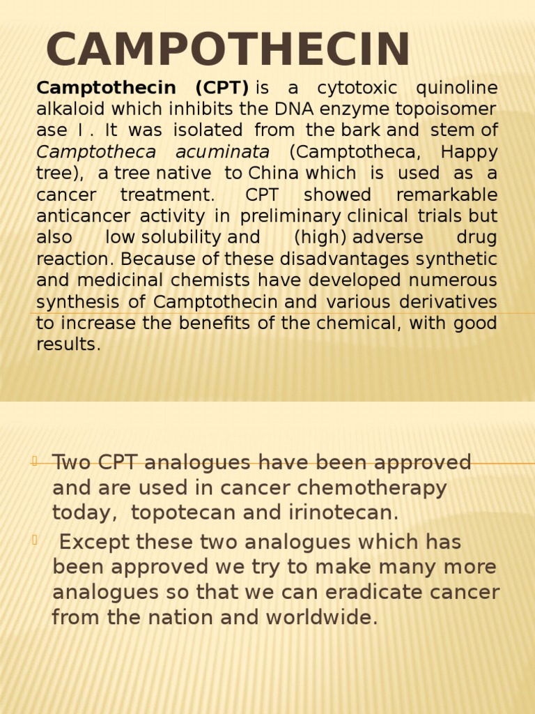 Camptothecin: Cancer Treatment Insights | PDF