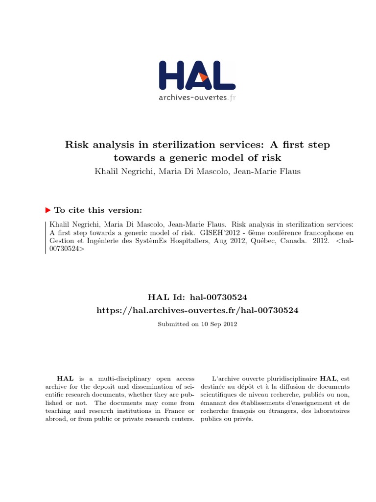 Risk Assesment CSSD | PDF | Risk | Risk Management