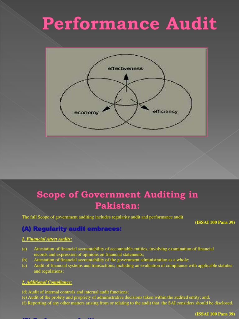 Performance Audit.pdf | Auditor's Report | Audit
