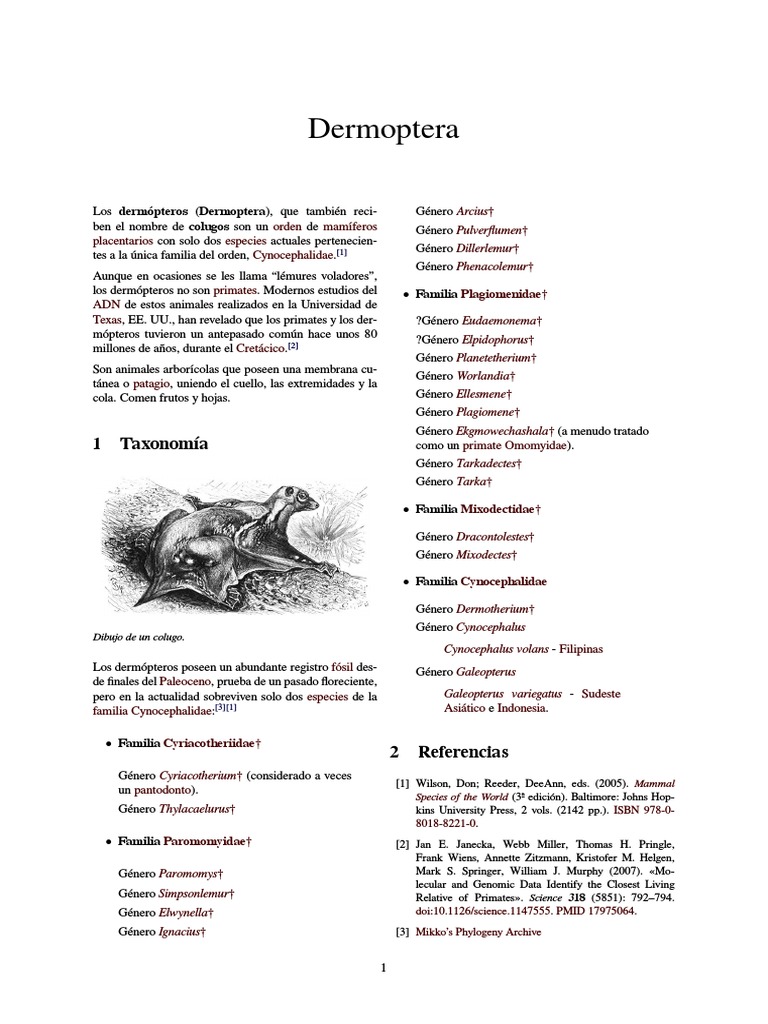 Dermoptera: Mamíferos Arborícolas Únicos | PDF | Mamíferos | Amniotes