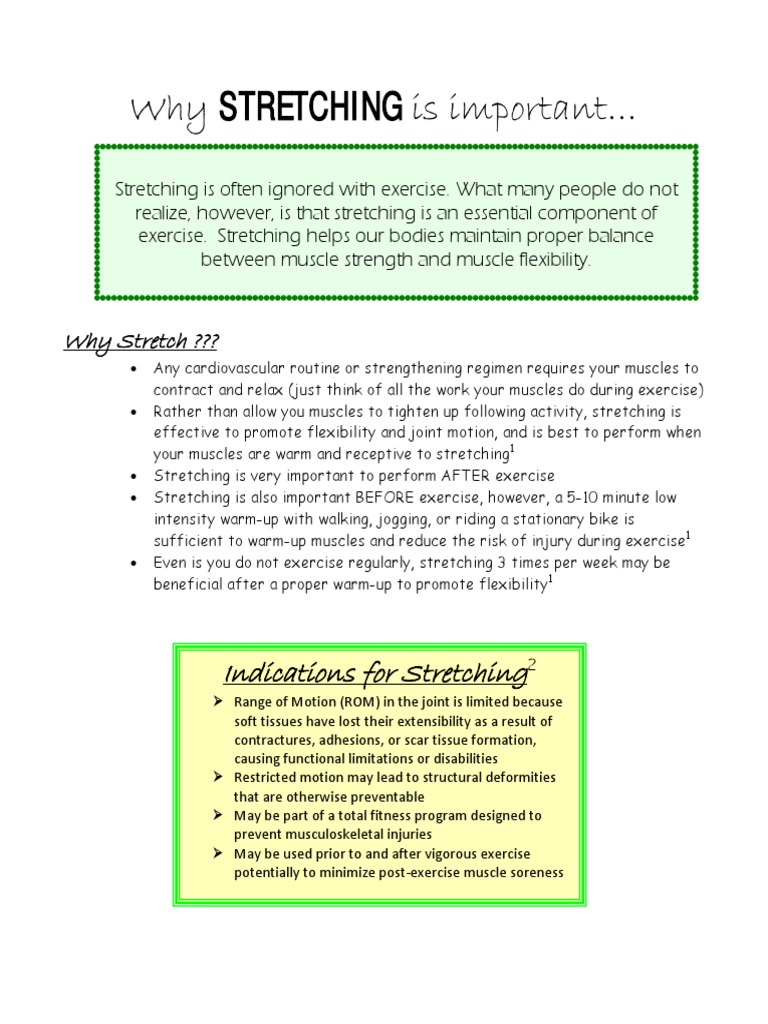 Bingo Importance of Stretching | PDF | Flexibility (Anatomy) | Physical ...