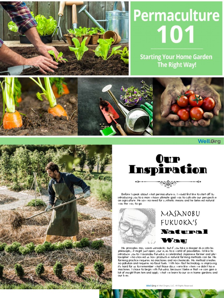 Permaculture 101 | PDF | Permaculture | Compost