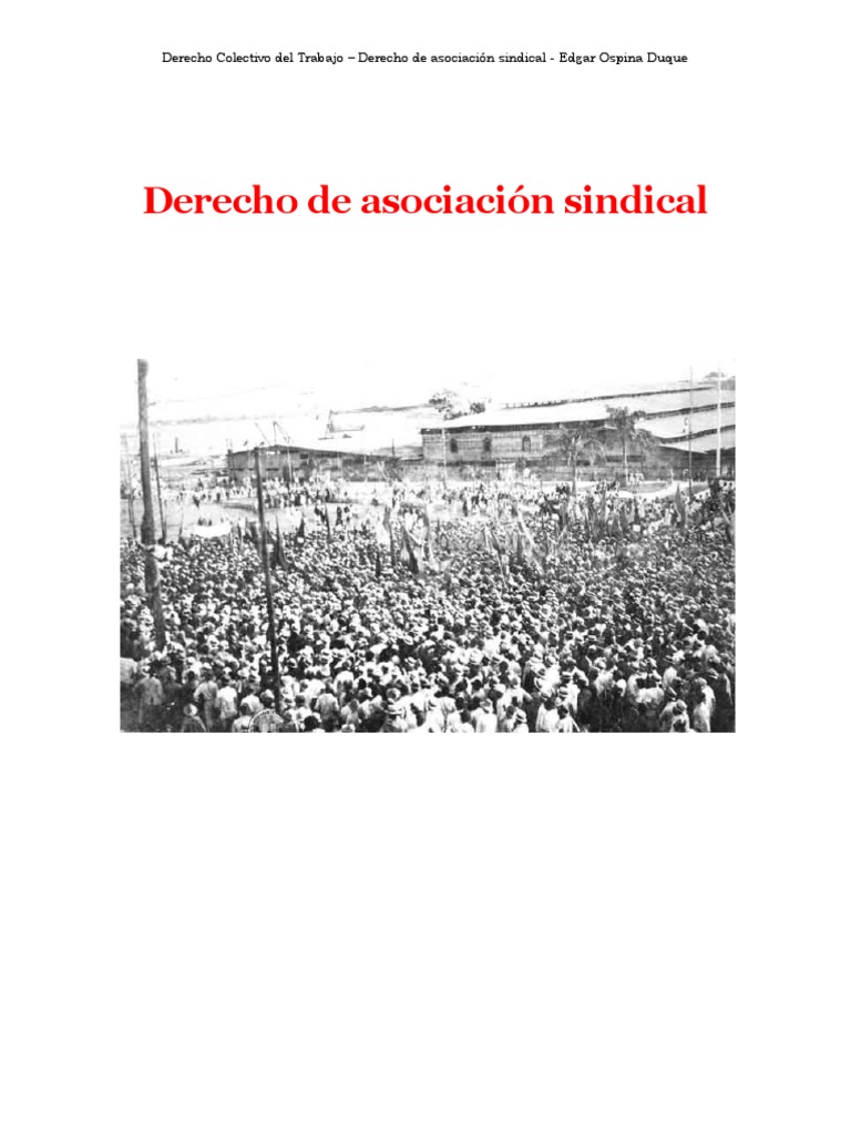 2 Derecho de Asociacic3b3n Sindical | PDF | Sindicato | Derecho laboral