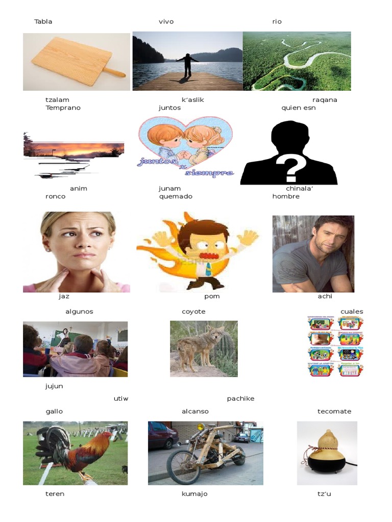Vocabulario y Nombres en Achi | PDF | Cocina, comidas y vino | Arte