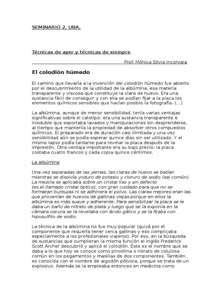 Técnicas de Fotografía: Colodión Húmedo | PDF | Fotografía aérea ...