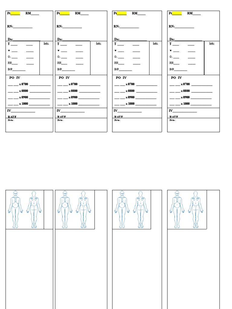 Nursing Student Daily PT Sheet