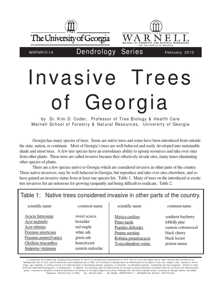 Invasive Trees of Georgia Pub10-14 | PDF | Invasive Species | Trees