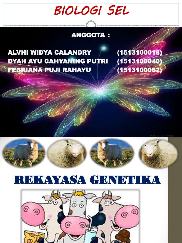 Rekayasa Genetika | PDF