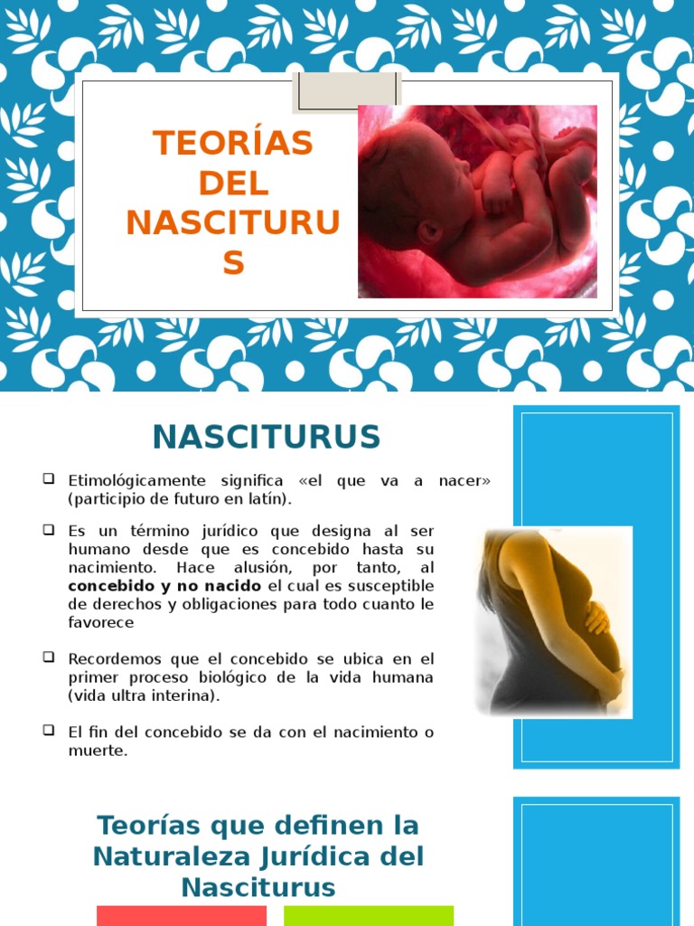 Teorías en Torno Al Nasciturus | PDF | Parto | Subjetividad