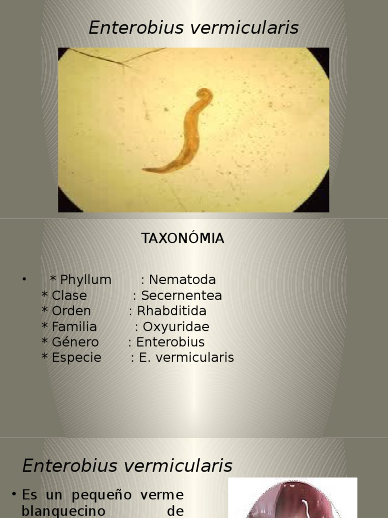 ENTEROBIUS VERMICULARIS | Especialidades Medicas | Enfermedades y ...