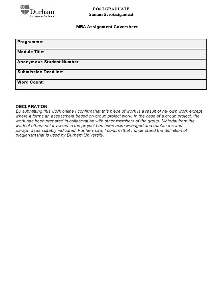 MBA Summative Assignment Guide | PDF