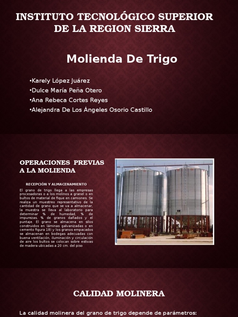 Proceso de Molienda de Trigo | PDF | Trigo | Cereales