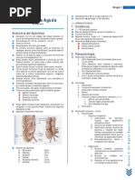 Niveles Axilares de Berg | PDF | Finanzas y dinero