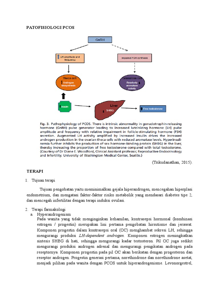Patofisiologi Pcos | PDF