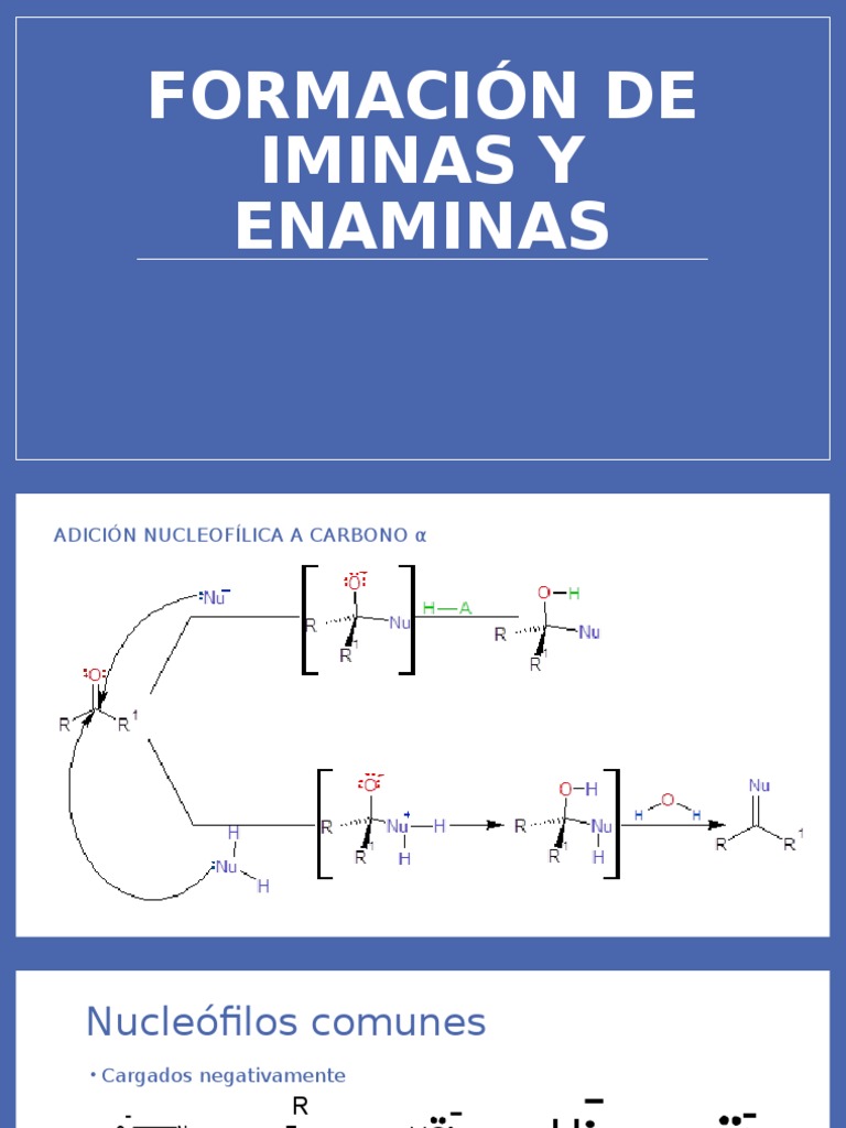 Formación Iminas y Enaminas | PDF | Cetona | Reacciones orgánicas