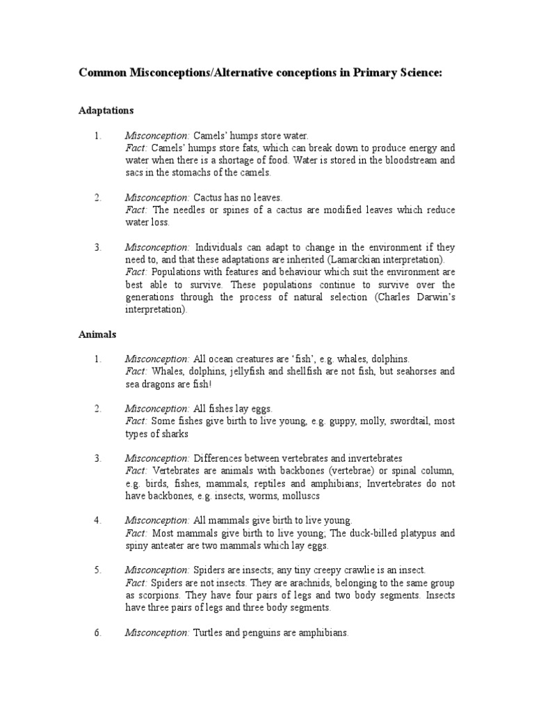 Common Misconceptions in Primary School Science | Respiratory System ...