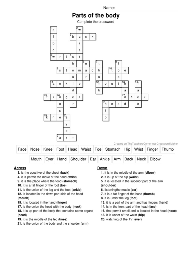 Body Parts Crossword Puzzle | PDF