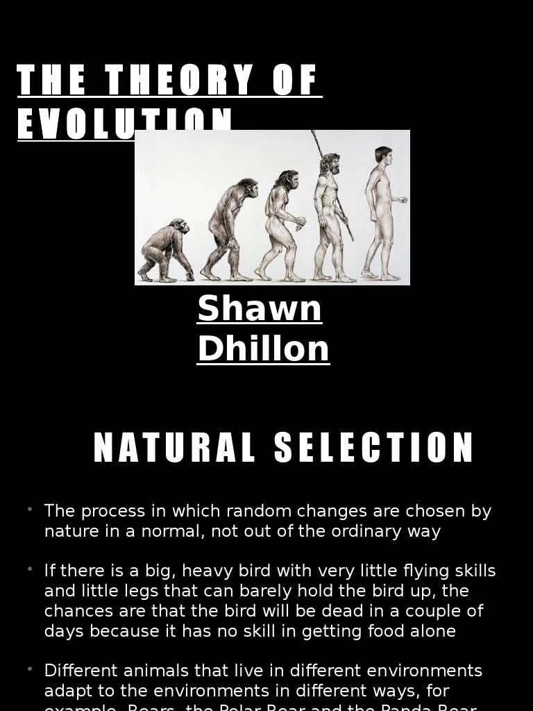 Theory of Evolution | PDF | Science & Mathematics