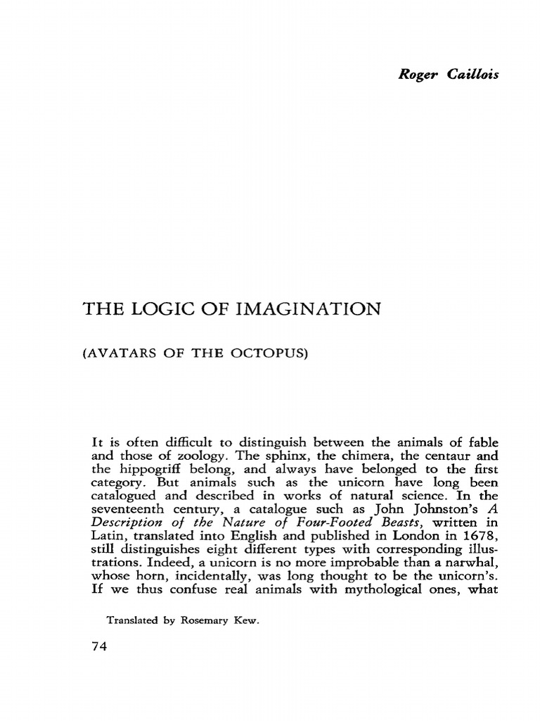 Callois Octopus | PDF | Business