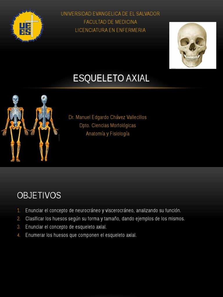 Esqueleto Axial | PDF | La columna vertebral | Anatomía humana